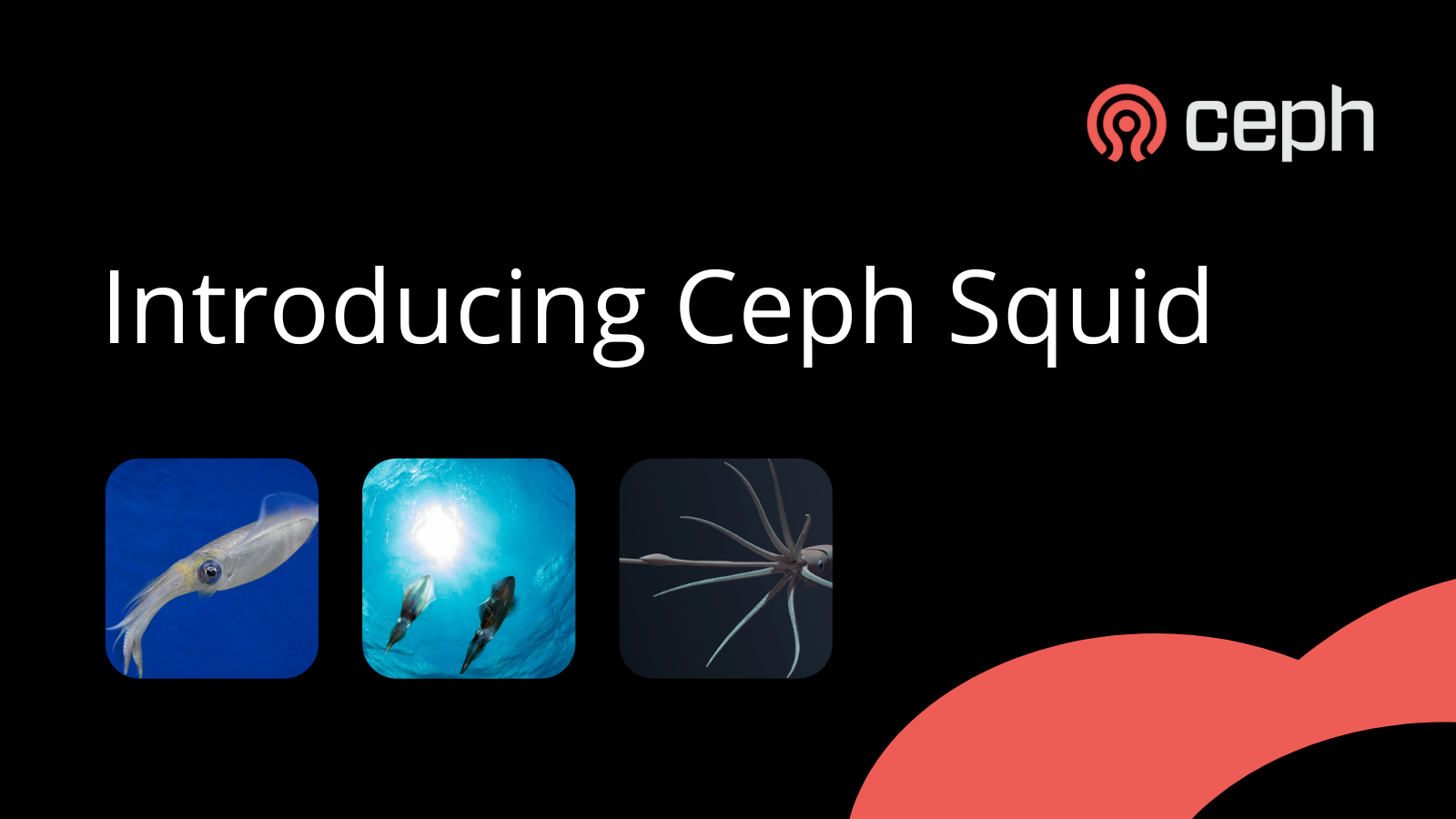 Introducing Ceph Squid: The Future of Storage Today, Reinforced by Strongest Alliance Yet